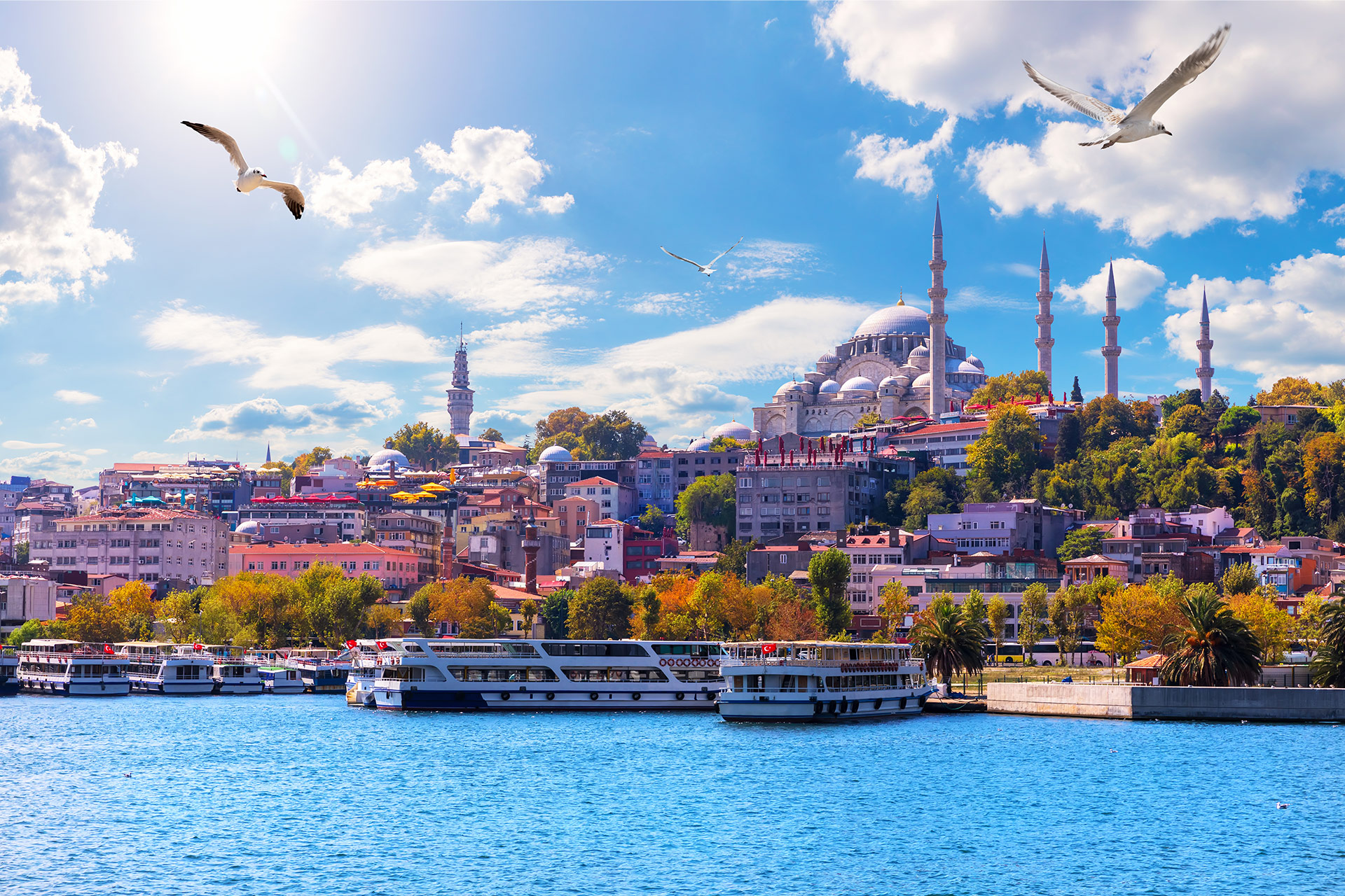 Exploring Istanbul: Combining Health Tourism with Cultural Riches at Dr ...